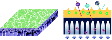 Graphene oxide-embedded polyamide nanofiltration membranes for ...