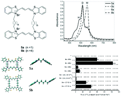 Template-free H-dimer and H-aggregate formation by dimeric carbocyanine ...