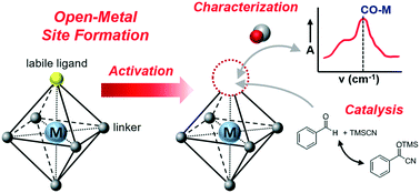 Structure, characterization, and catalytic properties of open-metal ...