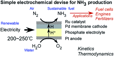 Electrochemical membrane cell for NH3 synthesis from N2 and H2O by ...