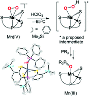 A Mn(iv)–peroxo complex in the reactions with proton donors - Dalton ...