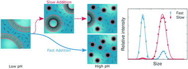 Neutralisation rate controls the self-assembly of pH-sensitive ...