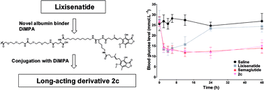 Discovery of lixisenatide analogues as long-acting hypoglycemic agents ...