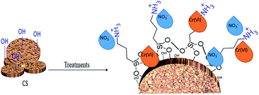 Surface modification of biomaterials based on cocoa shell with improved ...