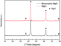 Synthesis of hierarchical MgO based on a cotton template and its ...