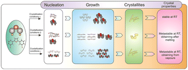 Solvent induced conformational polymorphism - CrystEngComm (RSC Publishing)