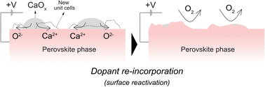 Cation deficiency enables reversal of dopant segregation at perovskite ...