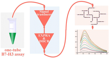One-tube B7-H3 detection based on isothermal exponential amplification ...