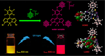 BODIPY derivatives modified with carborane clusters: synthesis ...