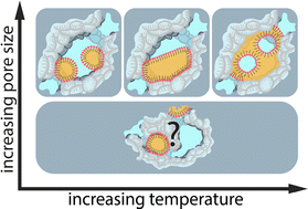 Confined microemulsions: pore diameter induced change of the phase ...