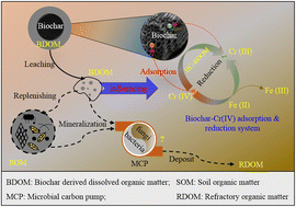 Release characteristics of biochar-derived dissolved organic matter and its impact on Cr(vi ...