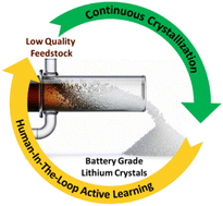 Human-AI synergy in adaptive active learning for continuous lithium carbonate crystallization ...