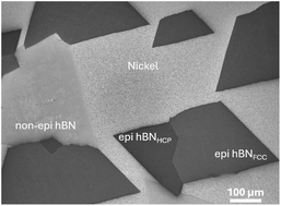 Fast crystallographic texture mapping of atomically thin hBN films on Ni(111) using secondary ...