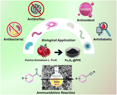 Investigating the potent antibacterial, antibiofilm, antidiabetic, and antioxidant activities of ...