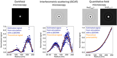 Optical label-free microscopy characterization of dielectric ...