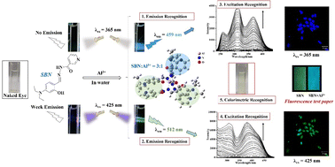 An ultra-sensitive fluorescence multi-channel and colorimetric probe ...