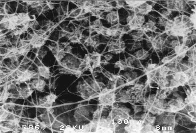 Carbon Nanotubes Powder