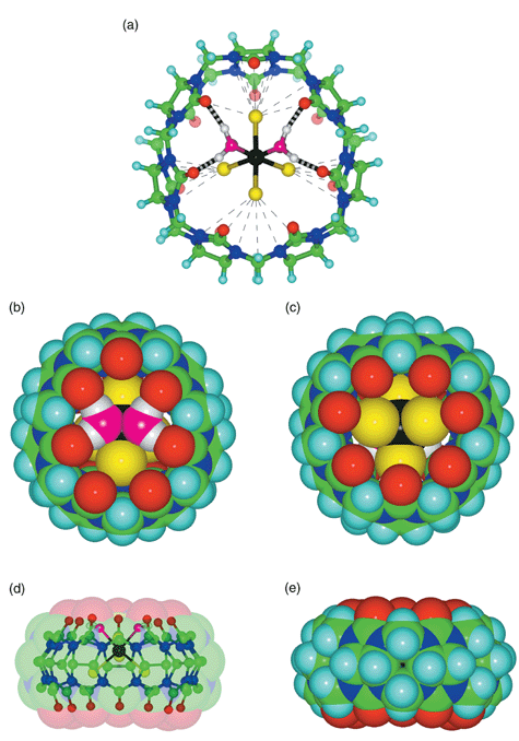 The first endoannular metal halide – cucurbituril : cis -SnCl 4 (OH 2 ...