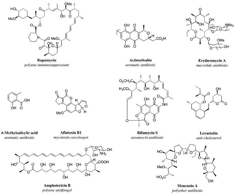 Polyketide biosynthesis: a millennium review - Natural Product Reports ...
