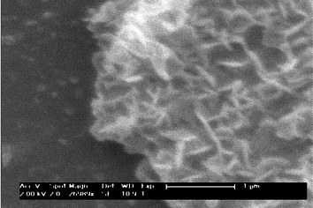 A general route to nanostructured bismuth chalcogenides - Journal of ...