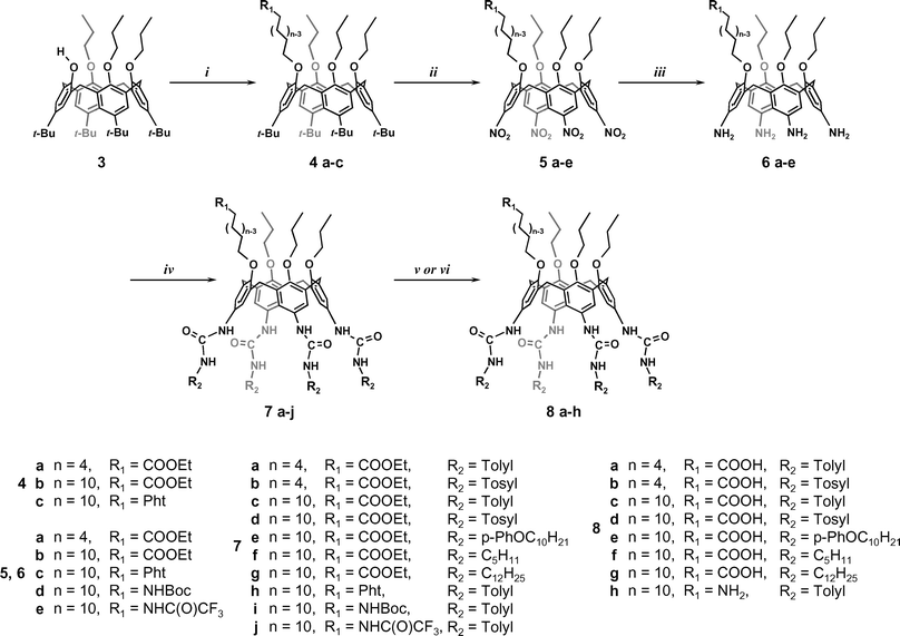 Fourfold tetraurea calix[4]arenes—potential cores for the formation of ...