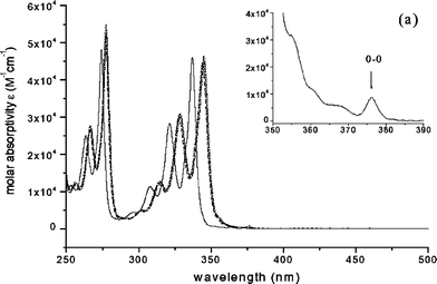 Photophysics of pyrene -labelled compounds of biophysical interest ...
