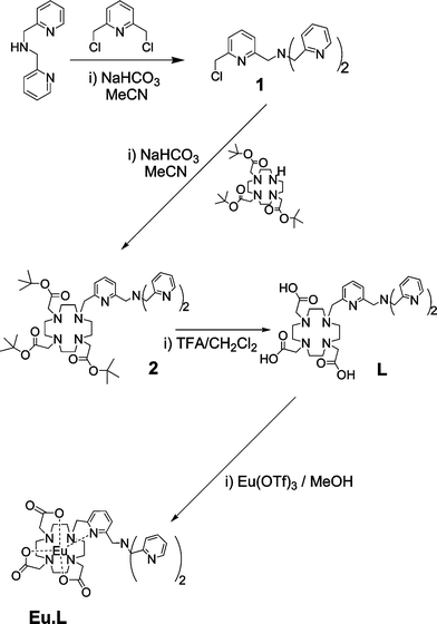Design, synthesis and photophysical studies of an emissive, europium ...