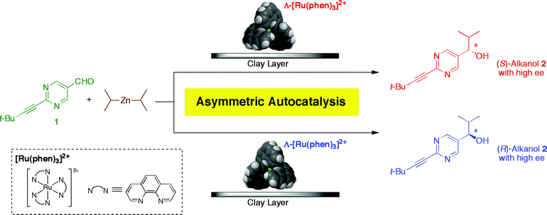 Highly enantioselective asymmetric autocatalysis using chiral ruthenium ...