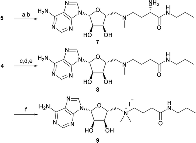 Identification of stable S-adenosylmethionine ( SAM ) analogues ...