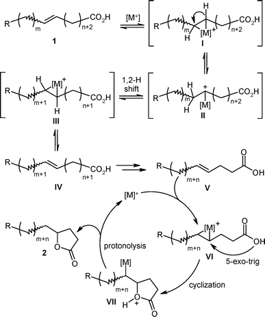 lactonization mechanism