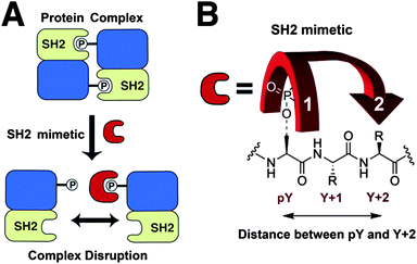 Sh2 Lewis Structure