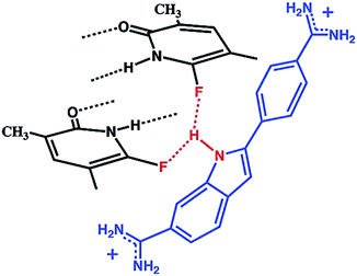 Examples of Fluorine bonding to Hydrogen to form Hydrogen bonds : r ...