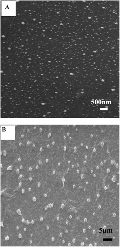 A comparative cytotoxicity study of TiO 2 nanoparticles under light and ...