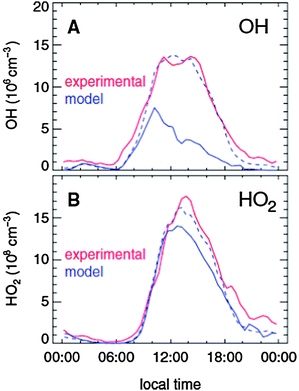 Tropospheric OH and HO 2 radicals: field measurements and model ...