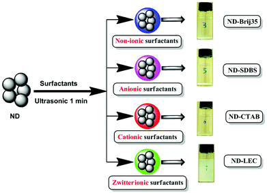 Surfactant -dispersed nanodiamond: biocompatibility evaluation and drug ...