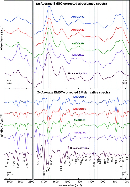 FTIR microspectroscopy for rapid screening and monitoring of ...