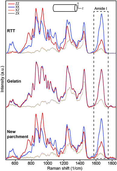 Quantifying degradation of collagen in ancient manuscripts: the case of ...