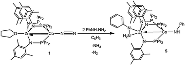 N–H activation of hydrazines by a heterobimetallic Zr–Co complex ...