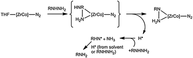 N–H activation of hydrazines by a heterobimetallic Zr–Co complex ...