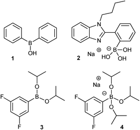 Aldol reactions mediated by a tetrahedral boronate - Chemical ...