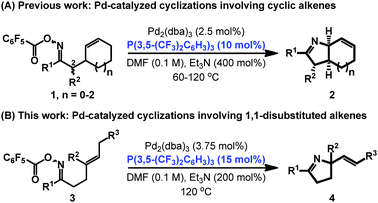 Palladium catalyzed cyclizations of oxime esters with 1,1-disubstituted ...