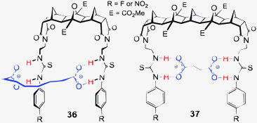 Conformationally preorganised hosts for anions using norbornane and ...