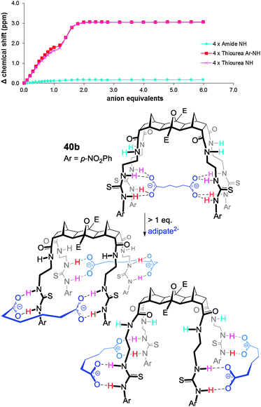 Conformationally preorganised hosts for anions using norbornane and ...