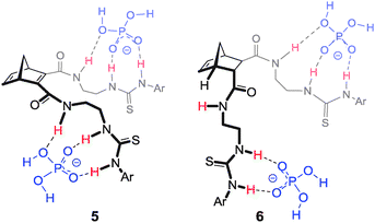 Conformationally preorganised hosts for anions using norbornane and ...