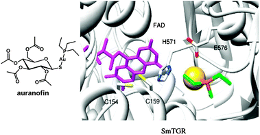 Exploration of the medical periodic table: towards new targets ...