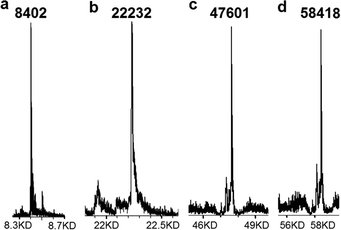 Solid phase click ligation for the synthesis of very long ...