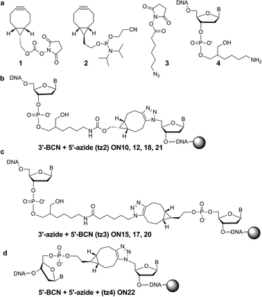 Solid phase click ligation for the synthesis of very long ...