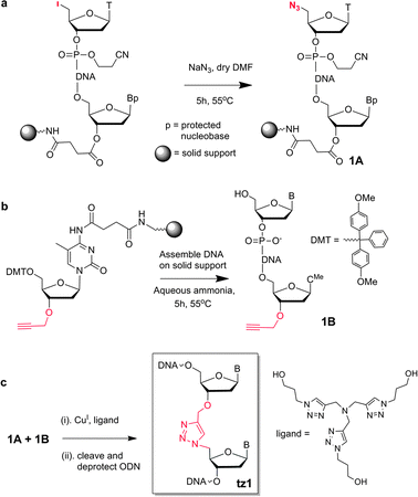 Solid phase click ligation for the synthesis of very long ...