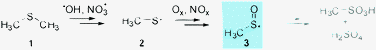 Matrix isolation and spectroscopic properties of the methylsulfinyl ...
