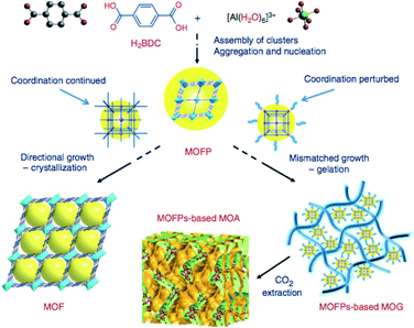 Fascinating chemistry or frustrating unpredictability: observations in ...